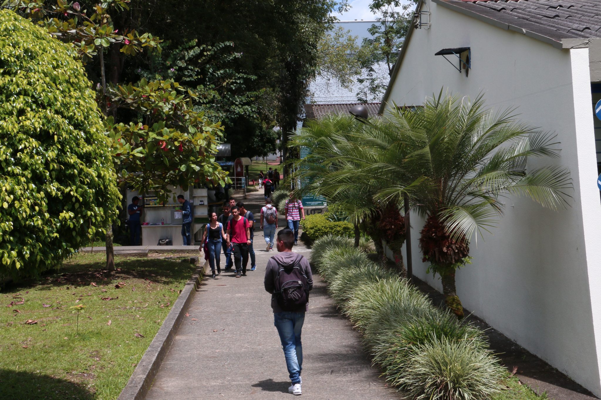 La Universidad Tecnológica de Pereira da la bienvenida a sus nuevos ...