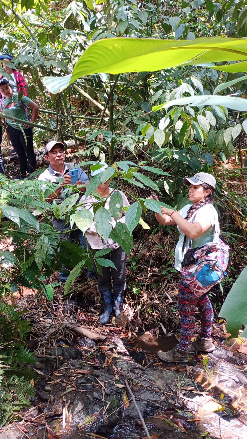 Restaurando paisajes y fortaleciendo comunidades en Risaralda, gran impacto desde el Proyecto ...