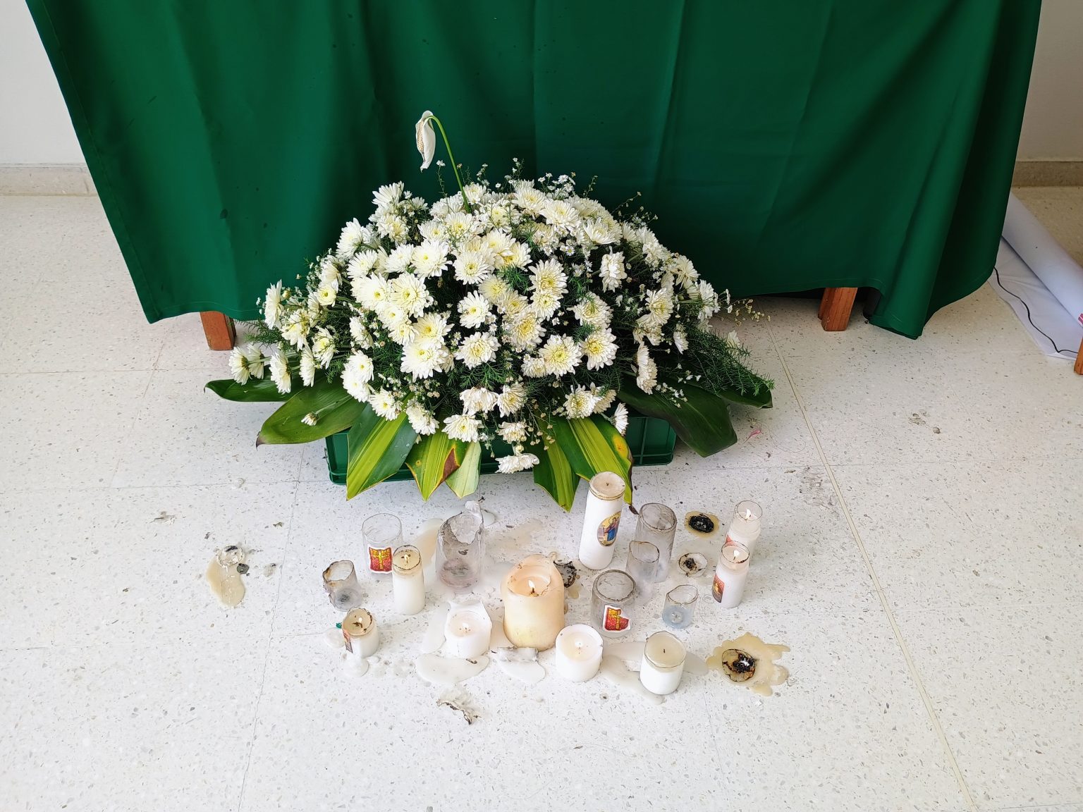 El legado de Girley, entre mariposas y sonrisas - Gestión de la ...